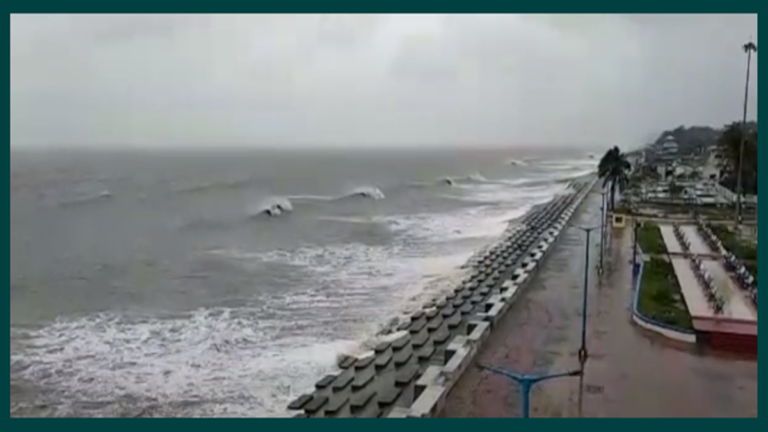 The Devastating Cyclone Bulbul 2019: A Tale of Destruction and Survival